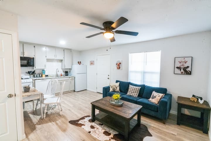 Renovated  Chic Apt 1/1, Killeen <2 Mile Base - 킬린