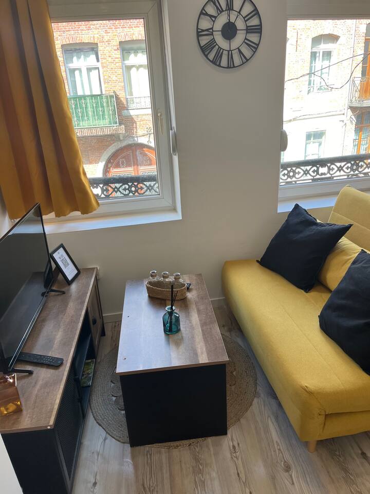 Cosy T2 à Avesnes Sur Helpe - Avesnes-sur-Helpe