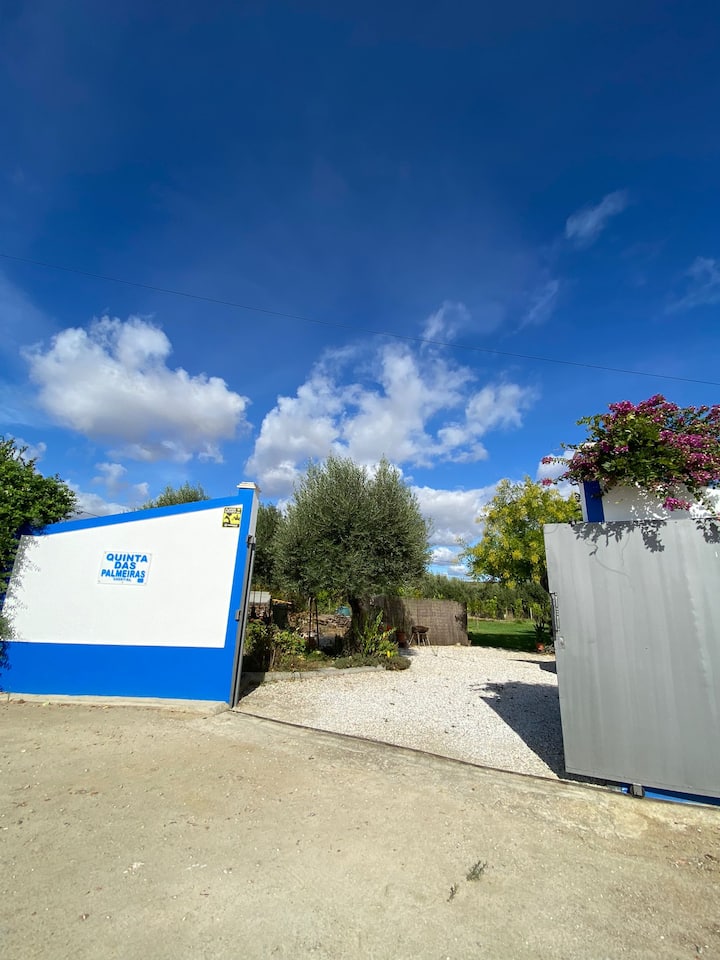 A Janela Das Palmeiras - Casa 2 - Reguengos de Monsaraz