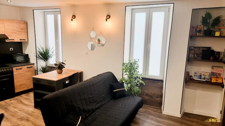Bel Appartement Proche Annecy/aix-les-bains/genève - Seyssel