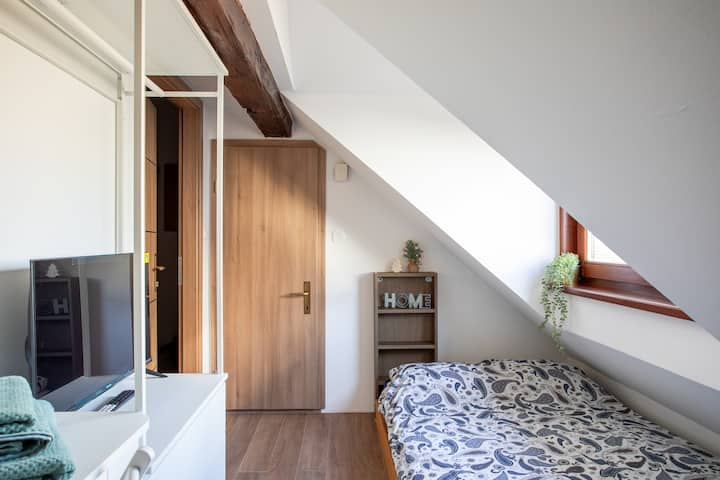 Cozy Micro Loft In The Hearth Of City Centre - Ljubljana