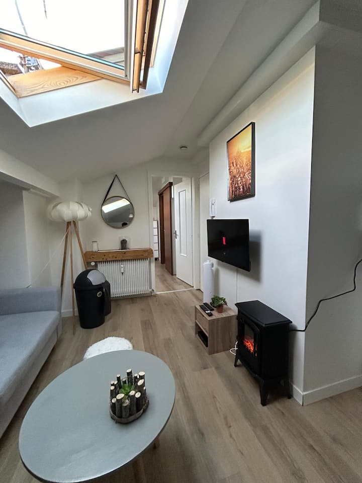 Superbe T2 Meublé Hyper Centre - Thonon-les-Bains