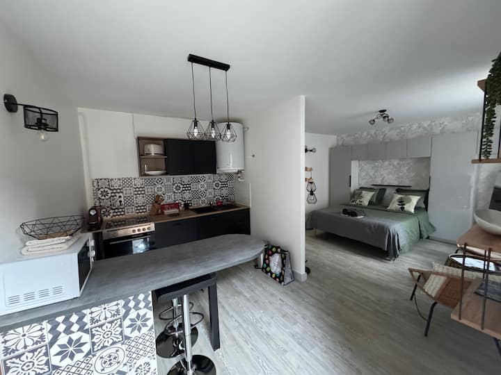 Magnifique Studio En Rdc - Besançon