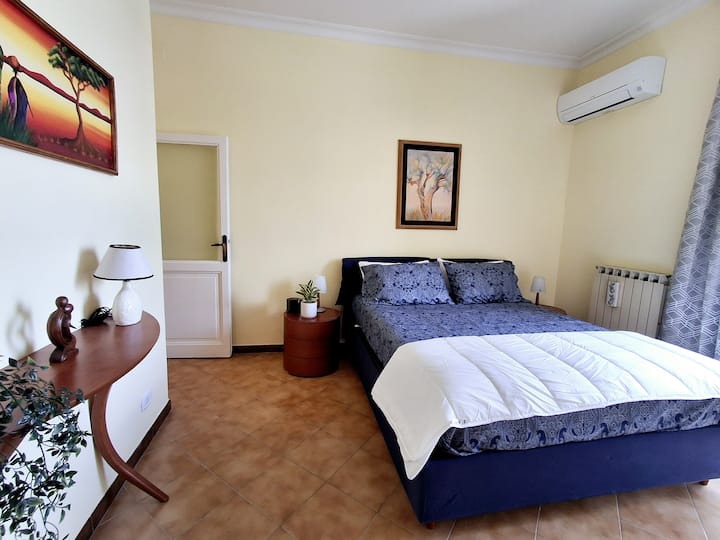 Centrale E Luminoso Davanti Ai Musei Vaticani - Vaticano