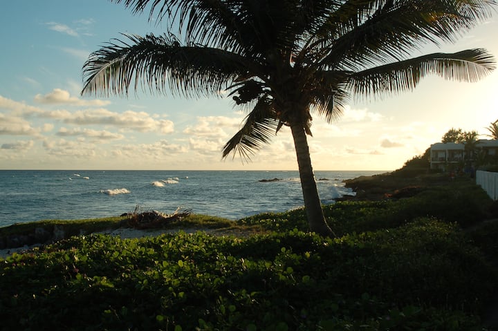 Surfview Villa # 2 - 巴貝多
