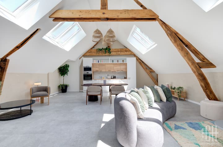 Gigi / Duplex / Château D'amboise / Climatisé - Amboise