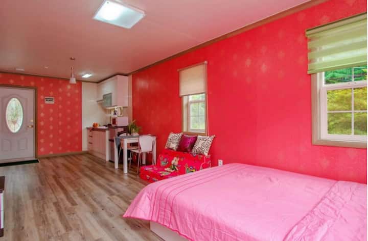 별따오기펜션201호 - 퇴촌면