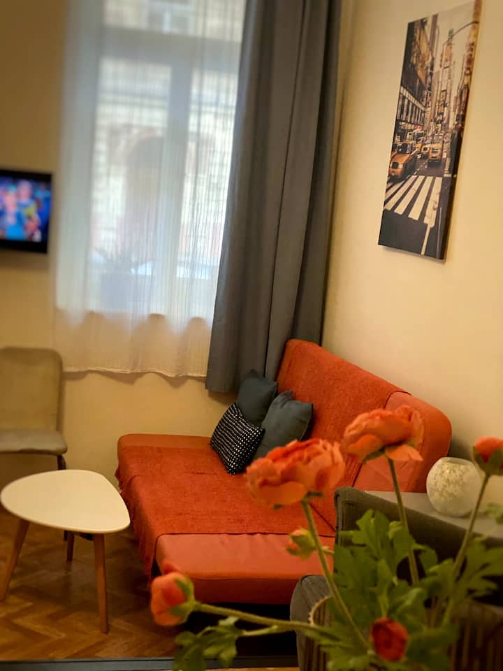 Prostorný Byt U Riegrových Sadů - Prague