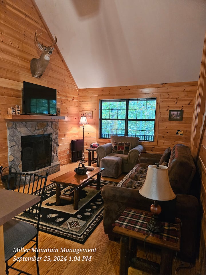 The Bear Foot Retreat/hot Tub - Young Harris, GA