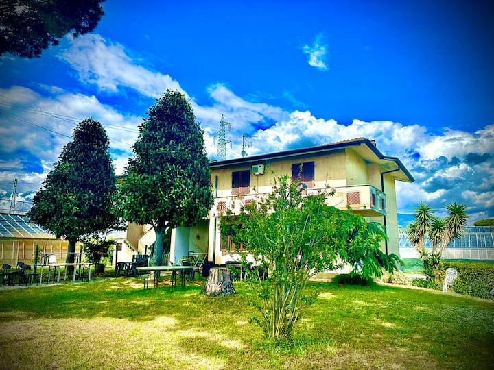 Le 2 Magnolie, Viareggio - Viareggio