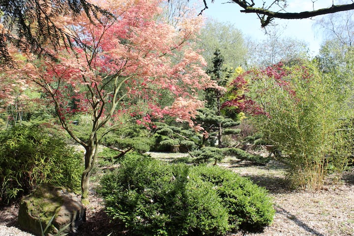 Le Closdepenguily
Brocéliande
16couchages+bain/spa - Paimpont