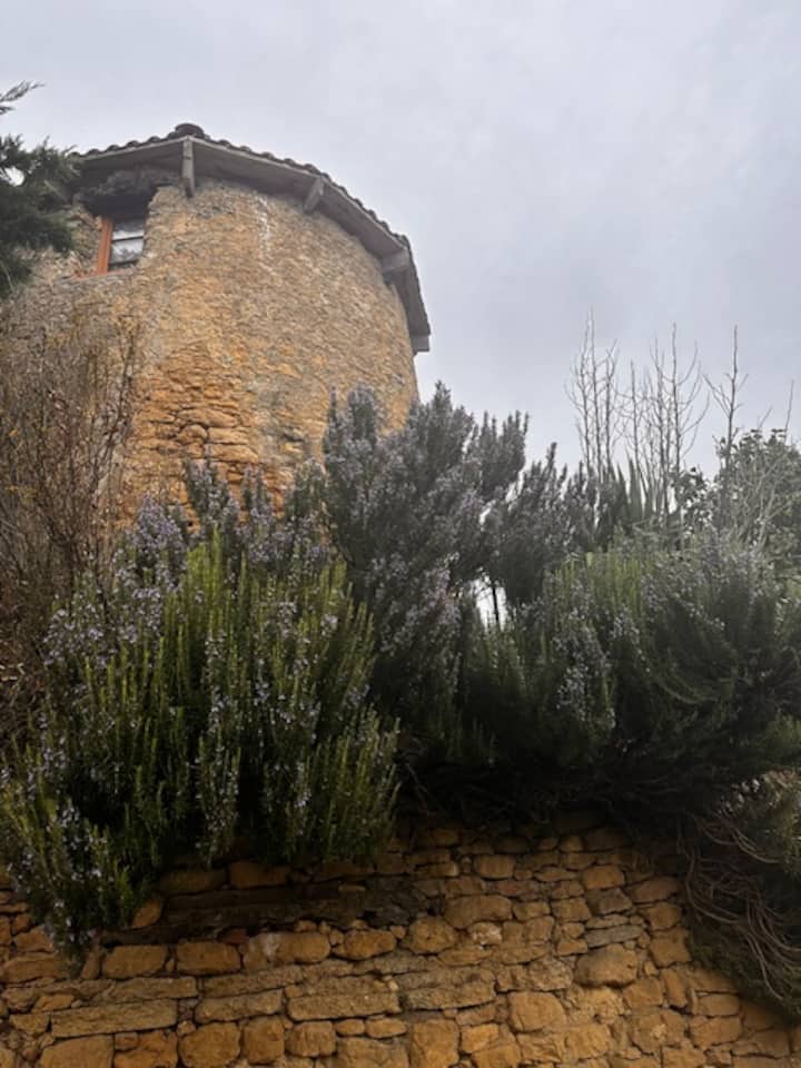 Moulin Du Sud - Mirepoix
