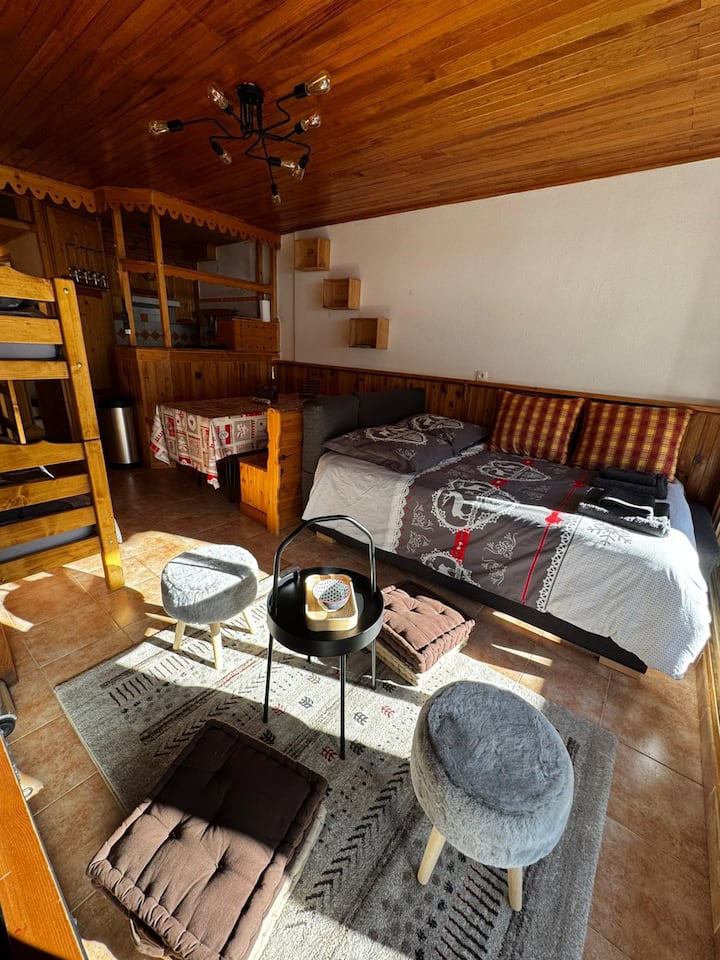 Studio à 350m Des Pistes De Ski - Col du Lautaret