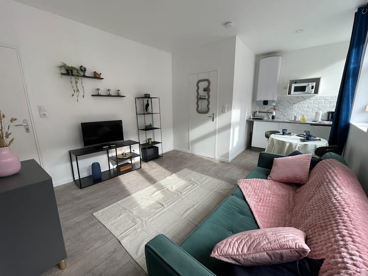 Studio Charmant Et Moderne à Croix - Wasquehal