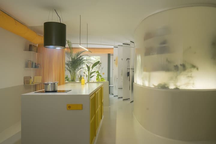 Corrigan Estudio - Pinto