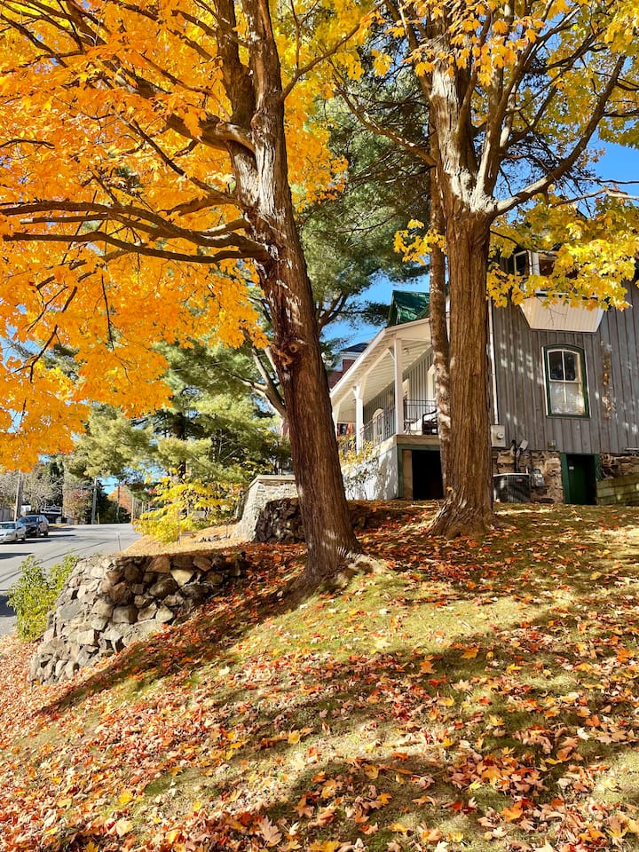 2 Muskoka Cottages - 32 Guests - 佈雷斯布里奇