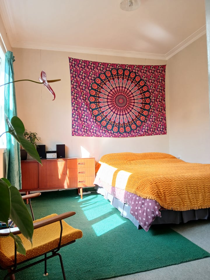 Vegetarian Home Opposite Pukekura Park - New Plymouth