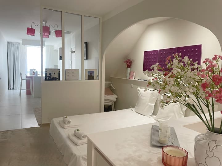 "Rose" Atypique, Clim, Quartier-haut - Sète