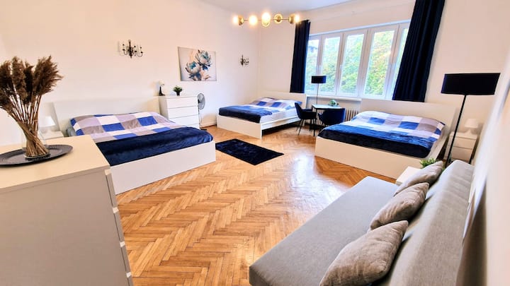 Unikatowe Sienkiewicza Park Apartament 116 M - Łódź