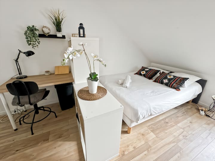 Le Maginot - Centre-ville - Gare - Rennes