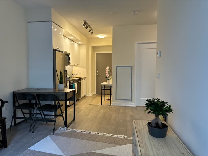 Downtown Toronto - 700m Away From Cn Tower - Toronto, ON