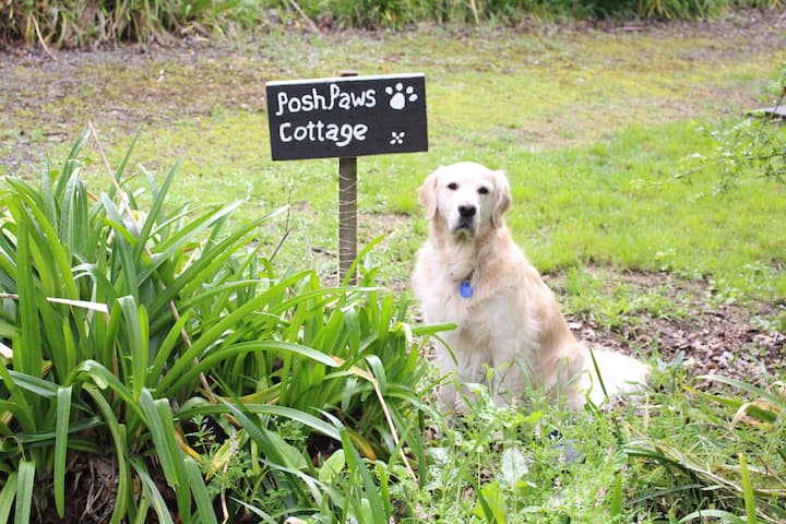 Posh Paws Cottage - Masterton