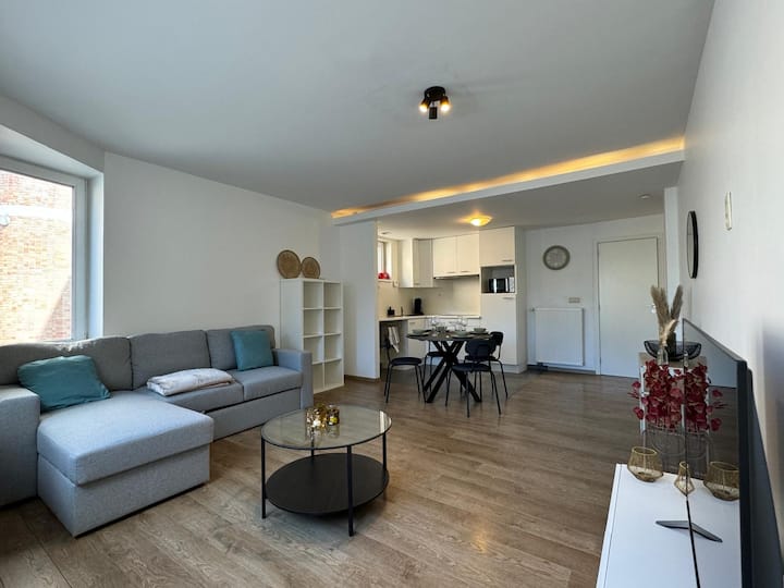 Ruime Appartement In Historisch Centrum Aan Strand - Ostende