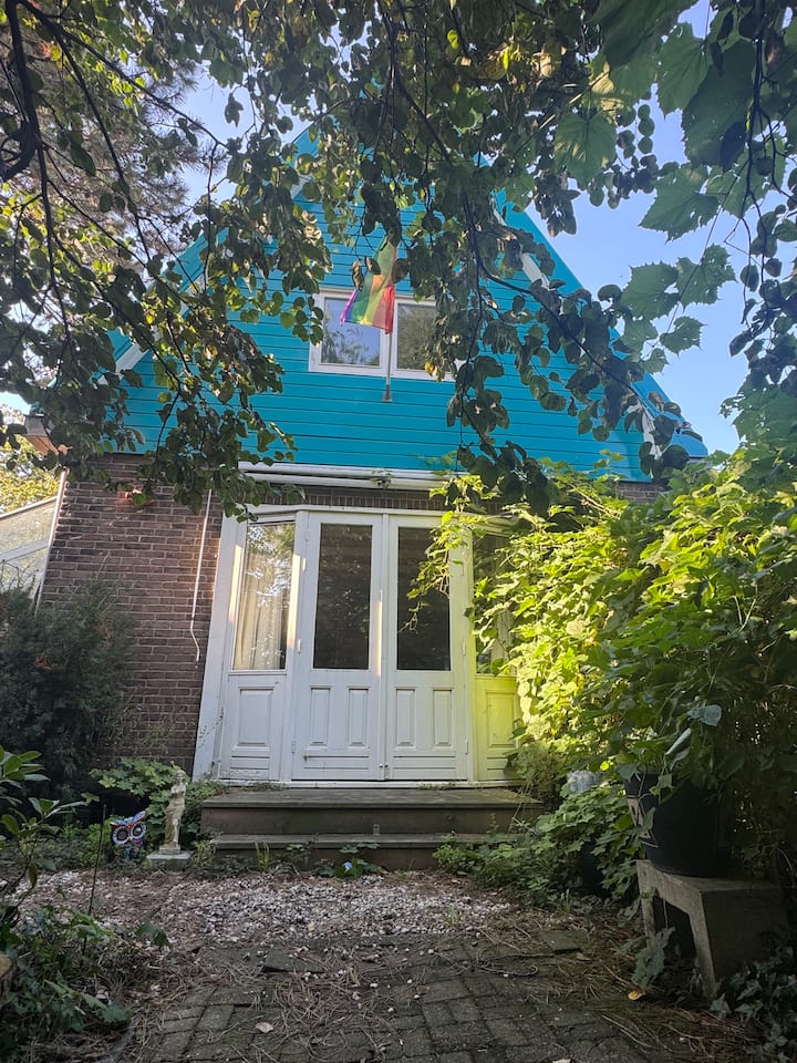 Apple-blue-sea-green - Amsterdam