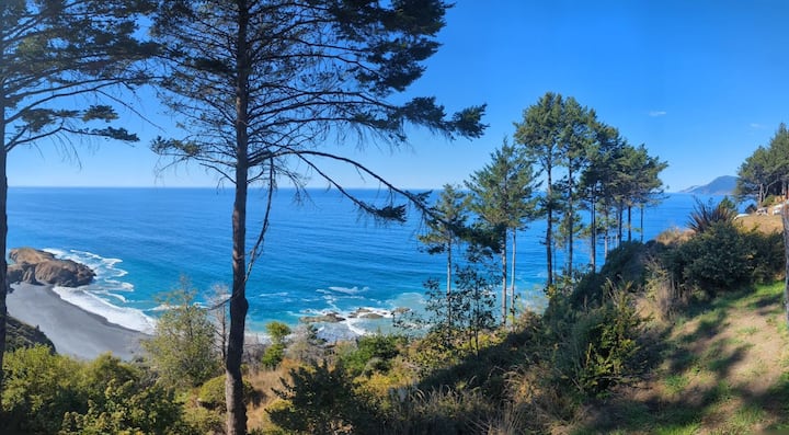 The Ocean's Overlook - Shelter Cove, CA