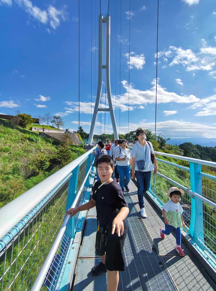 Hakone40m|fuji Mt/kawaguchiko80m|misima Skywalk40m - 沼津市