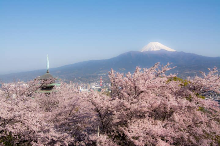 Atami/hakone40m|kawazu/kawaguchiko80m|free Parking - Numazu