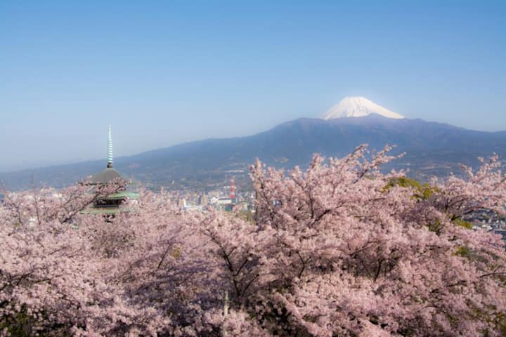 雪の富士山ビューと美しい夕日を屋上で。桜の名所香貫山に車で10分 - Numazu