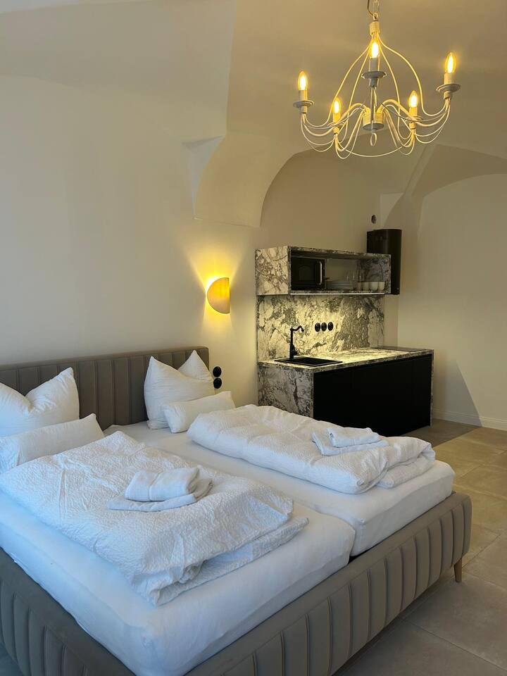 Apartmá Austen 1891 - Karlovy Vary