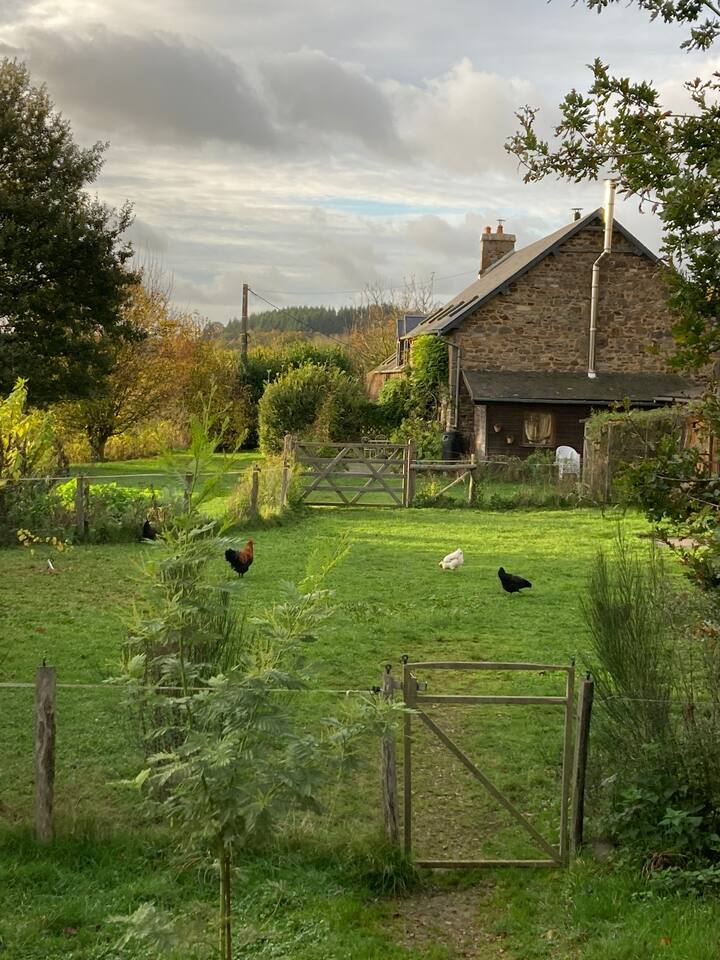 La Ferme De Choisel, Chambres Et Petit Déjeuner - Domfront