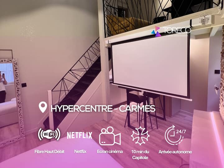 Cocon Des Moulins - Toulouse