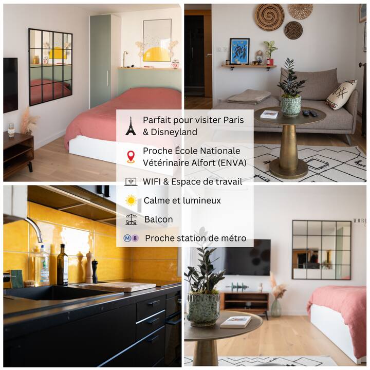 Studio Cosy Avec Balcon, à Deux Pas De Paris - Maisons-Alfort