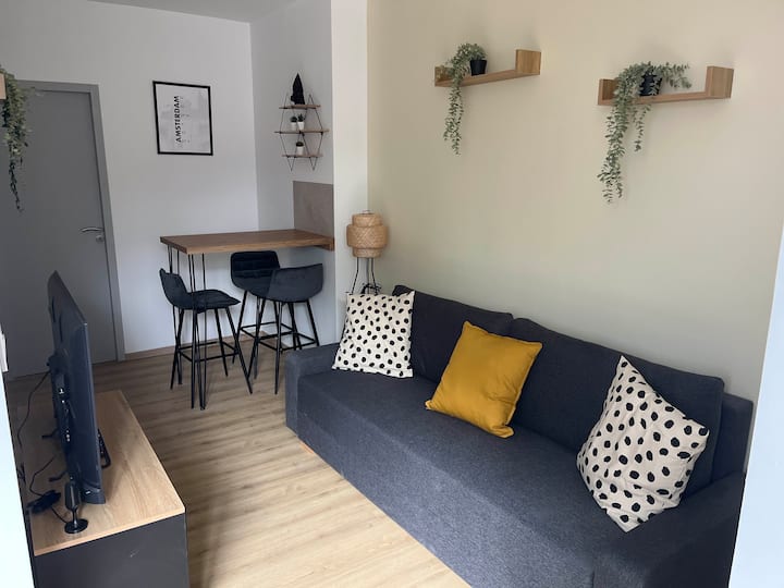 Be•0 - Appartement F1 à Mulhouse Pour 1-2 Pers. - Mulhouse