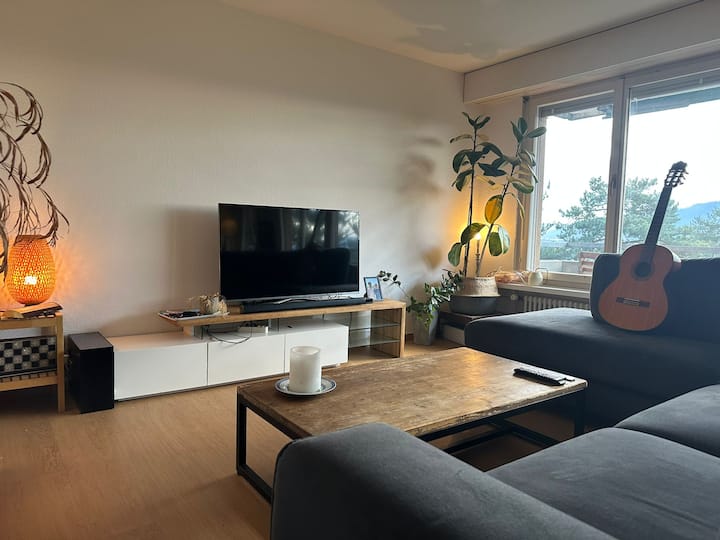 Lovely And Quiet Flat, 15 Minutes From City Center - Zurich