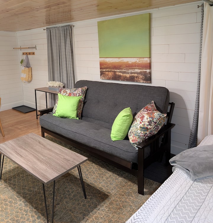 Norsk Gjestehus Studio: Walkout W/fireplace - Decorah, IA