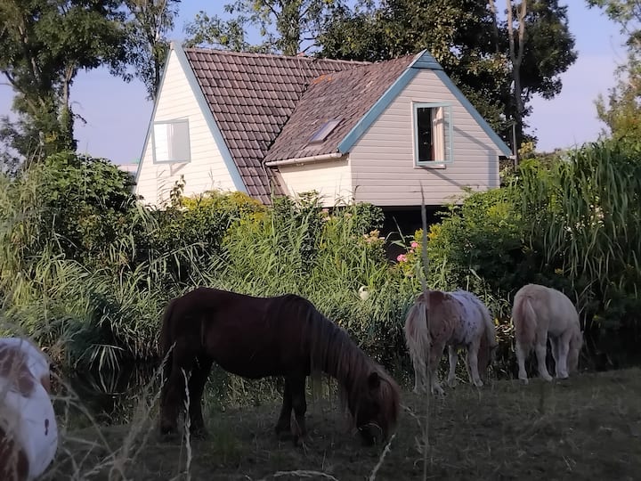 Cottage In The Green - Zoetermeer