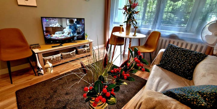 Apartament Wapienna - Łódź