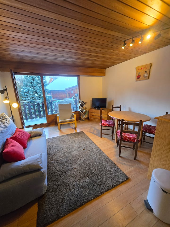 Les Brimbelles 27 : Studio Au Pied Des Pistes - Les Deux Alpes