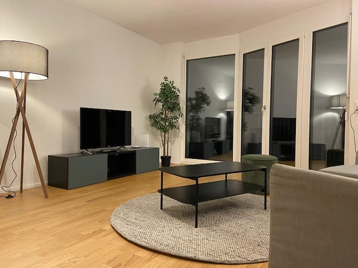 1br Apartment+balcony In Zurich - Zürich