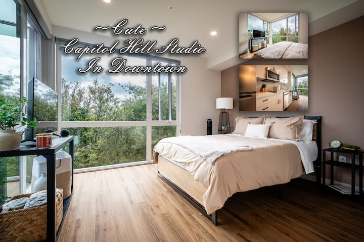 ~Bright & Cozy~ Capitol Hill Studio - Seattle