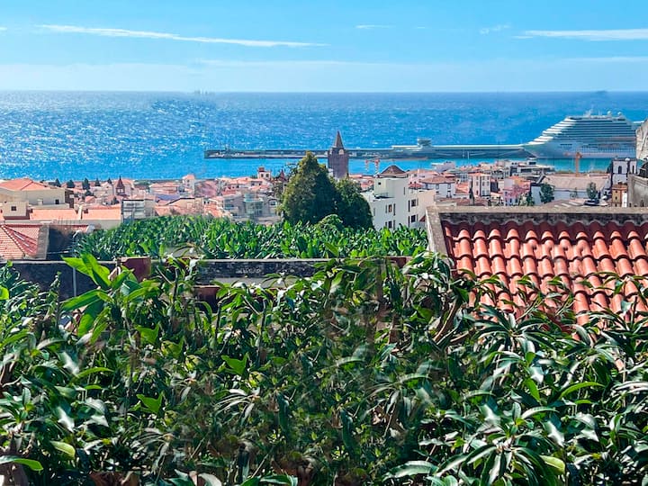 Villa Nunes - Funchal