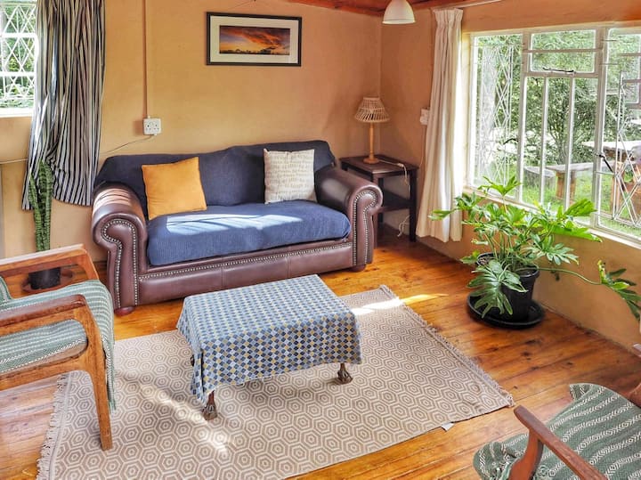 Foxes Earth @ Wild Fox Hill - Hogsback
