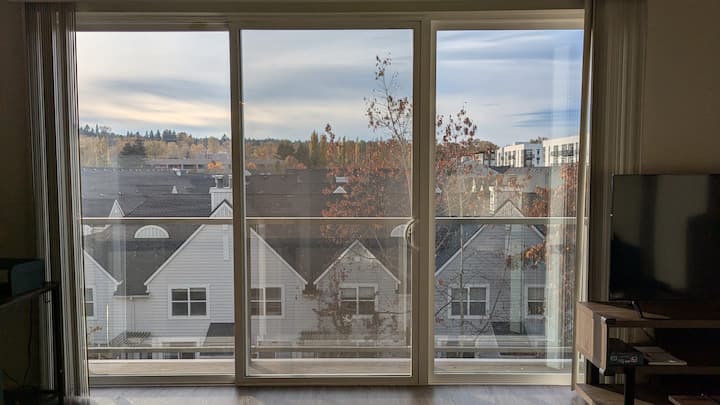 Modern Downtown Redmond Retreat - 레드먼드