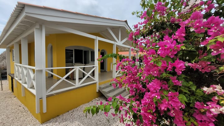 Tropical Retreat - Garden & Outdoor Comfort - Curazao