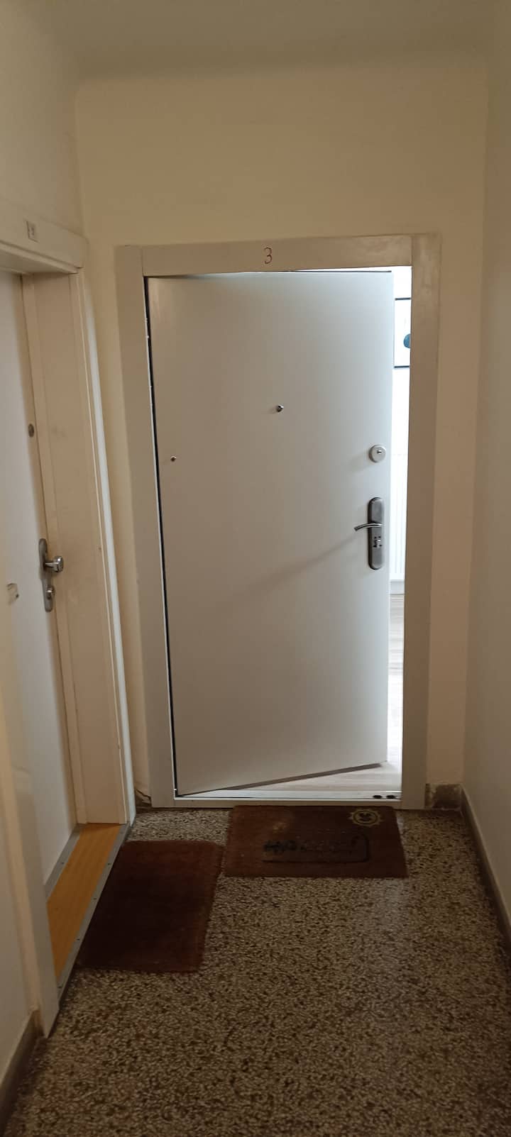 Wohnung Bei Der Donauinsel - Viena