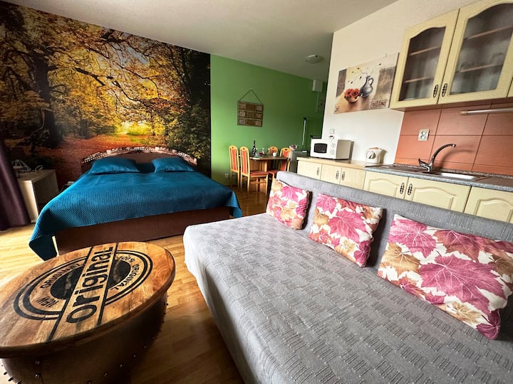 Apartmán Liptov City
ŠTúdio Lux - Liptovský Mikuláš